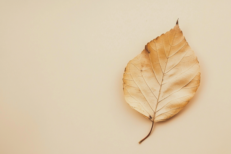 【フリー素材】ベージュの背景イラスト